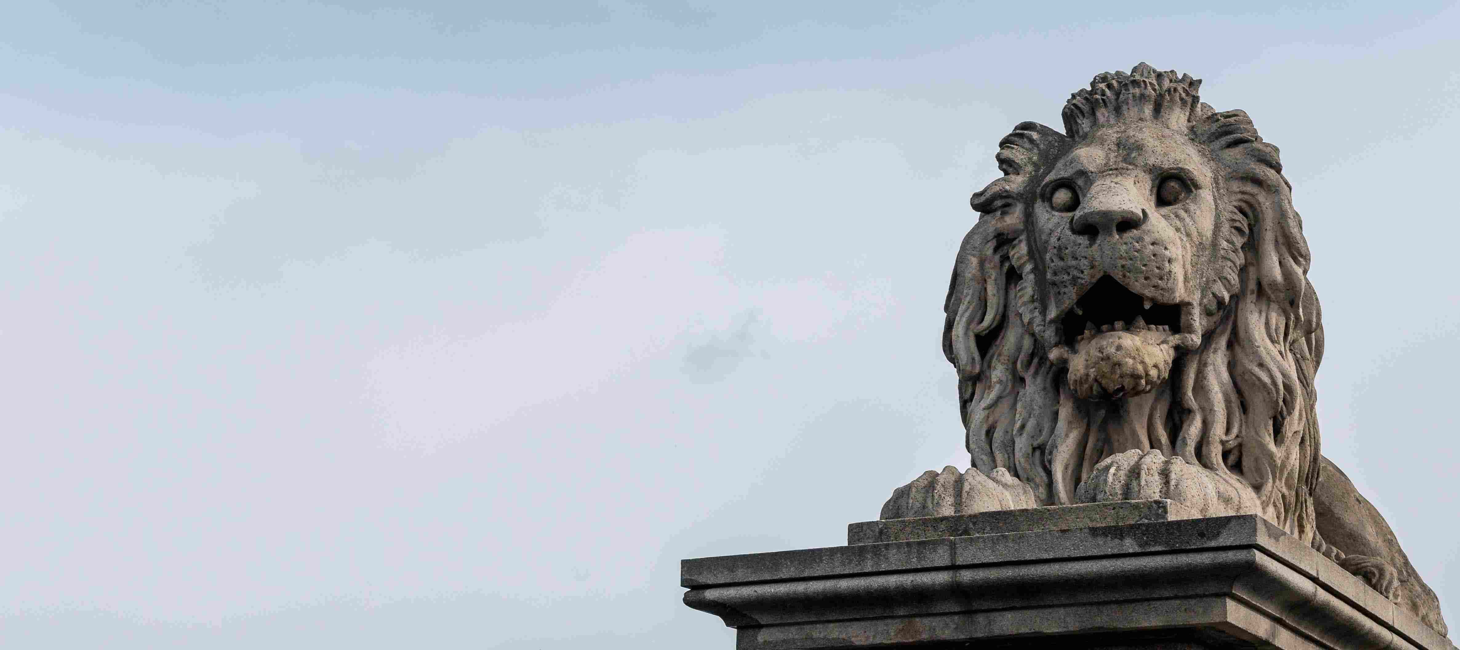 Resilience Reference Curriculum Released | PfPC
